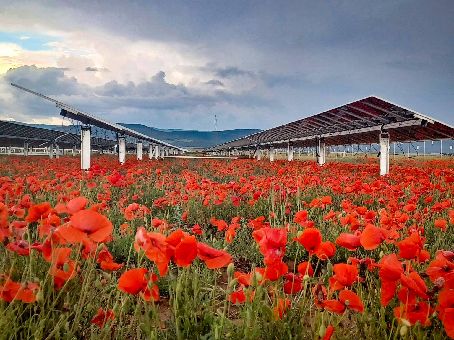 Greif Announces Start of its First Virtual Power Purchase Agreement ...